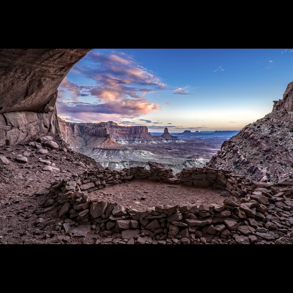 Conservation Photographer Captures Nature’s Most Breathtaking Details a ...