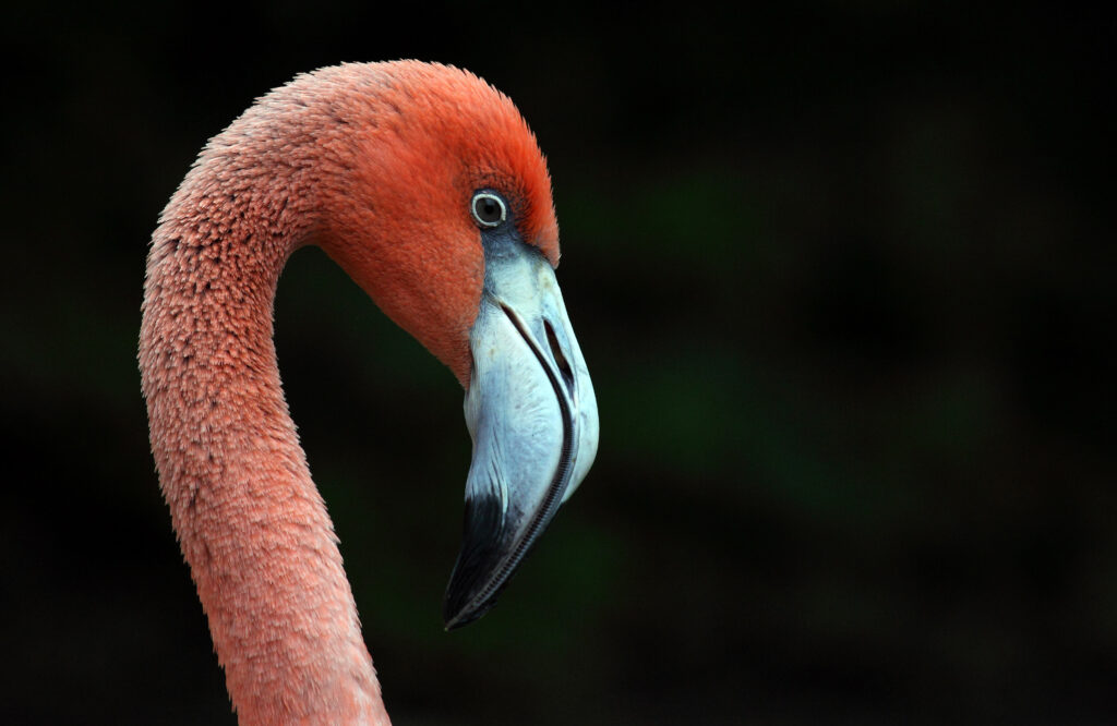Photographer Bruce Franklin’s Most Magical Lens is His Unique Eye ...