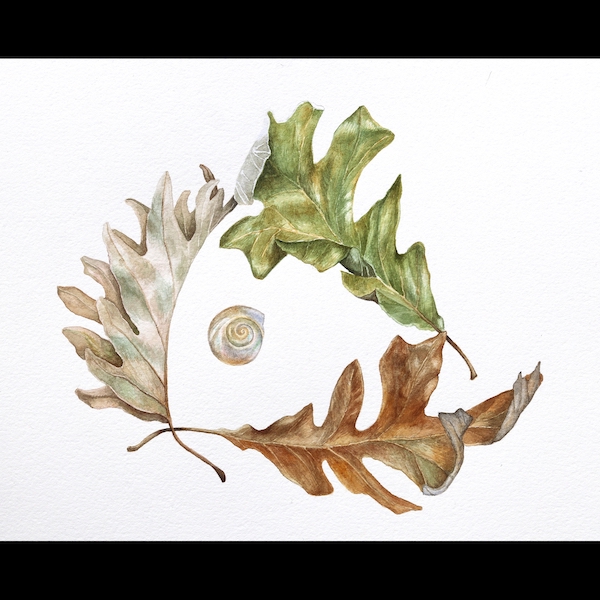 Jennifer Becker - Rose Squared Art Shows