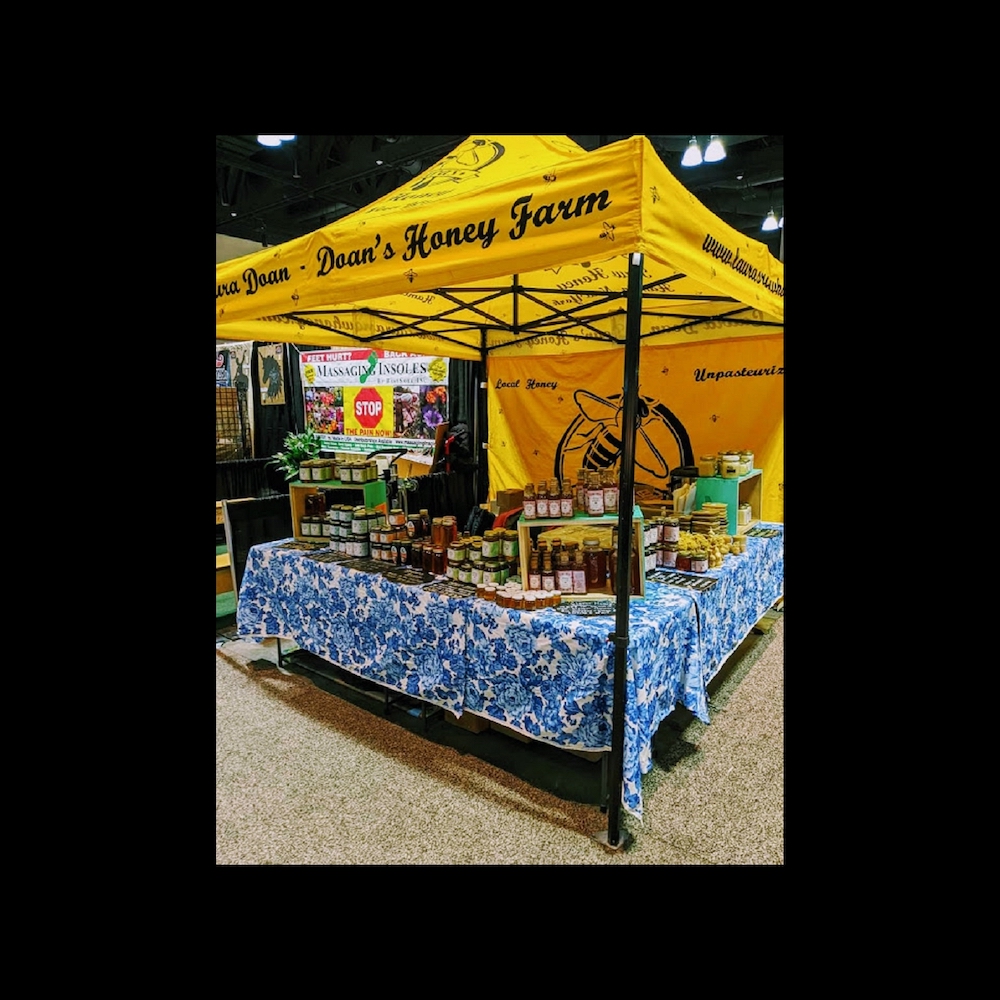 Laura Doan - Rose Squared Art Shows