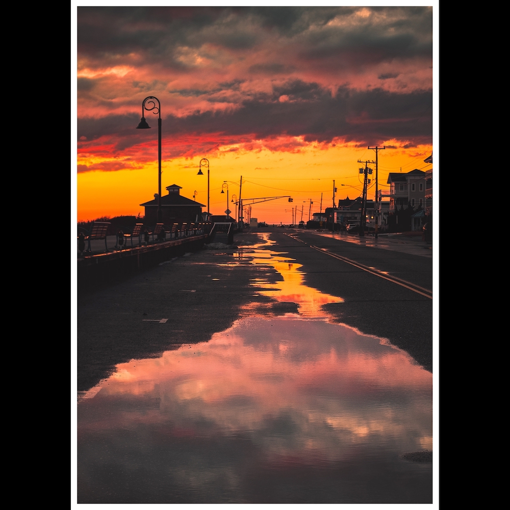 Rob Zane - Rose Squared Art Shows