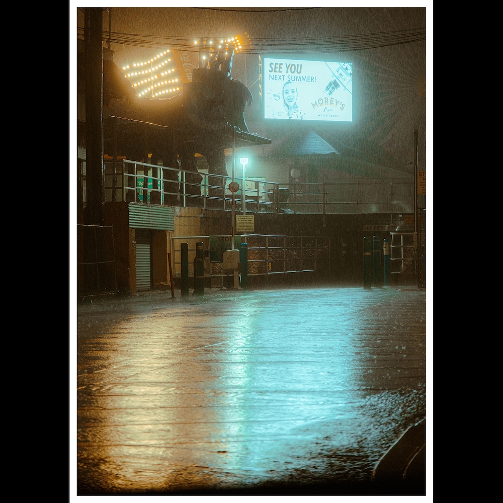 Rob Zane - Rose Squared Art Shows